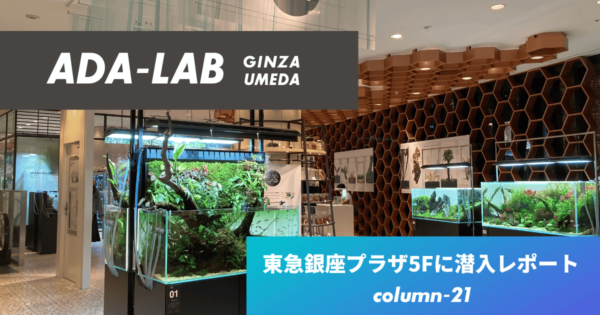 「ADA-LAB」東急プラザ銀座の営業時間や限定アイテムの販売情報 | アクアリウムを楽しもう